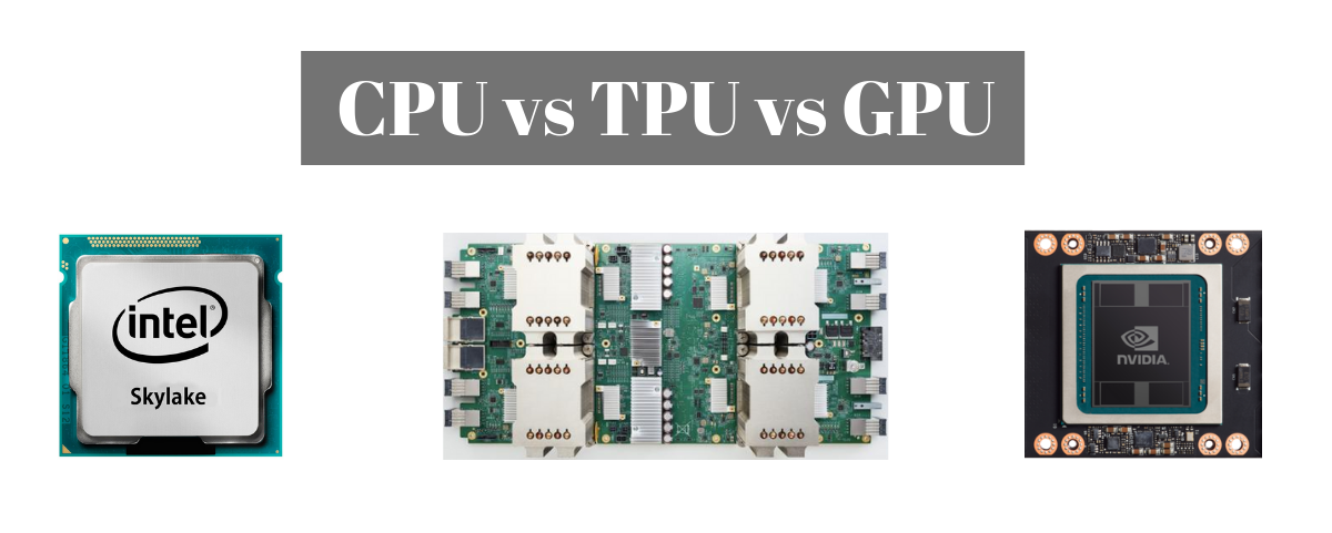 Cpu Vs Tpu Vs Gpu Synced